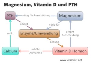 vitamin-d-magnesium-pth